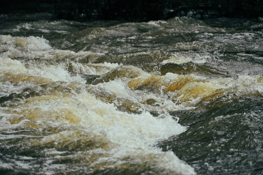 A Step-by-Step Guide to Mapping Your Processes with BPMN